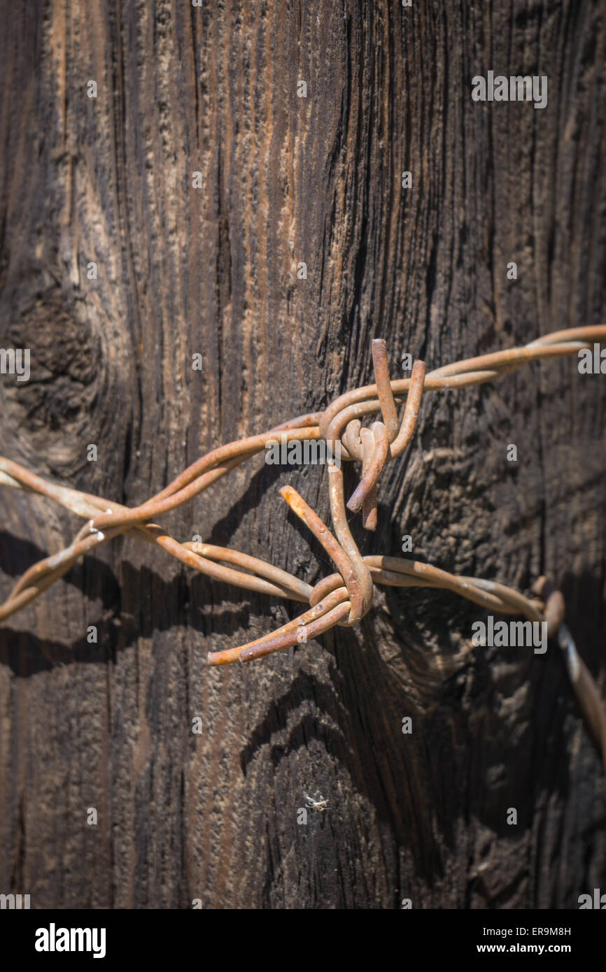 Metal twisted ends of barbed wire fence wrapped together on wooden ...