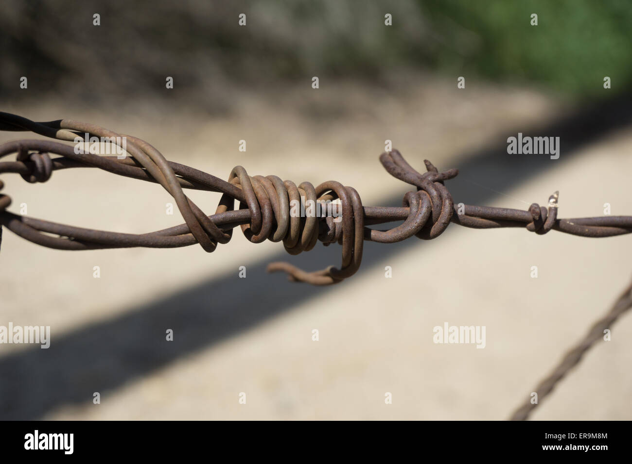 Twisted strands of metal bind parts of barbed wire fence together Stock ...
