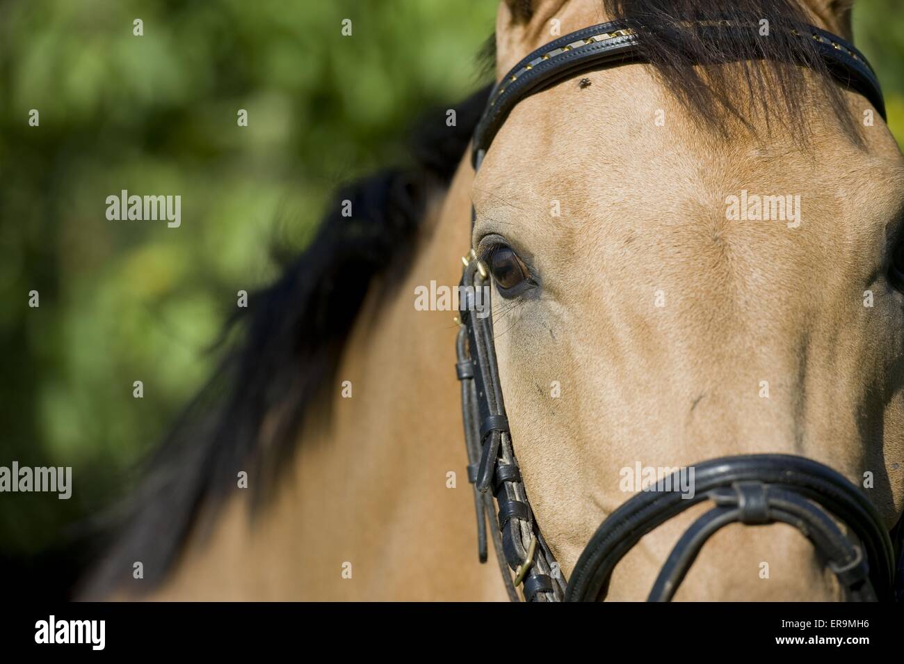 Warm your face hi-res stock photography and images - Alamy