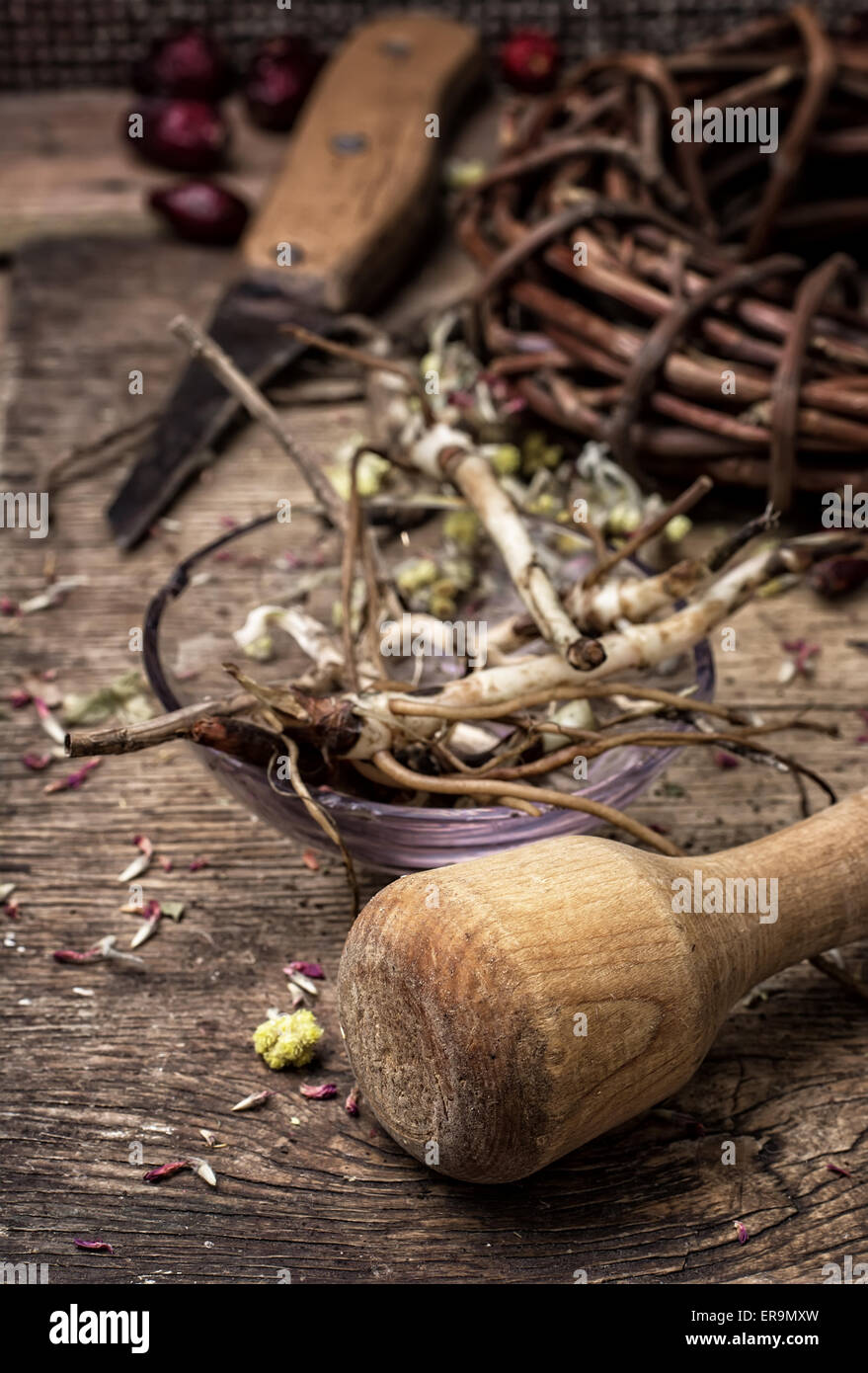 medicinal herbs and roots in dried form,as means of alternative ...
