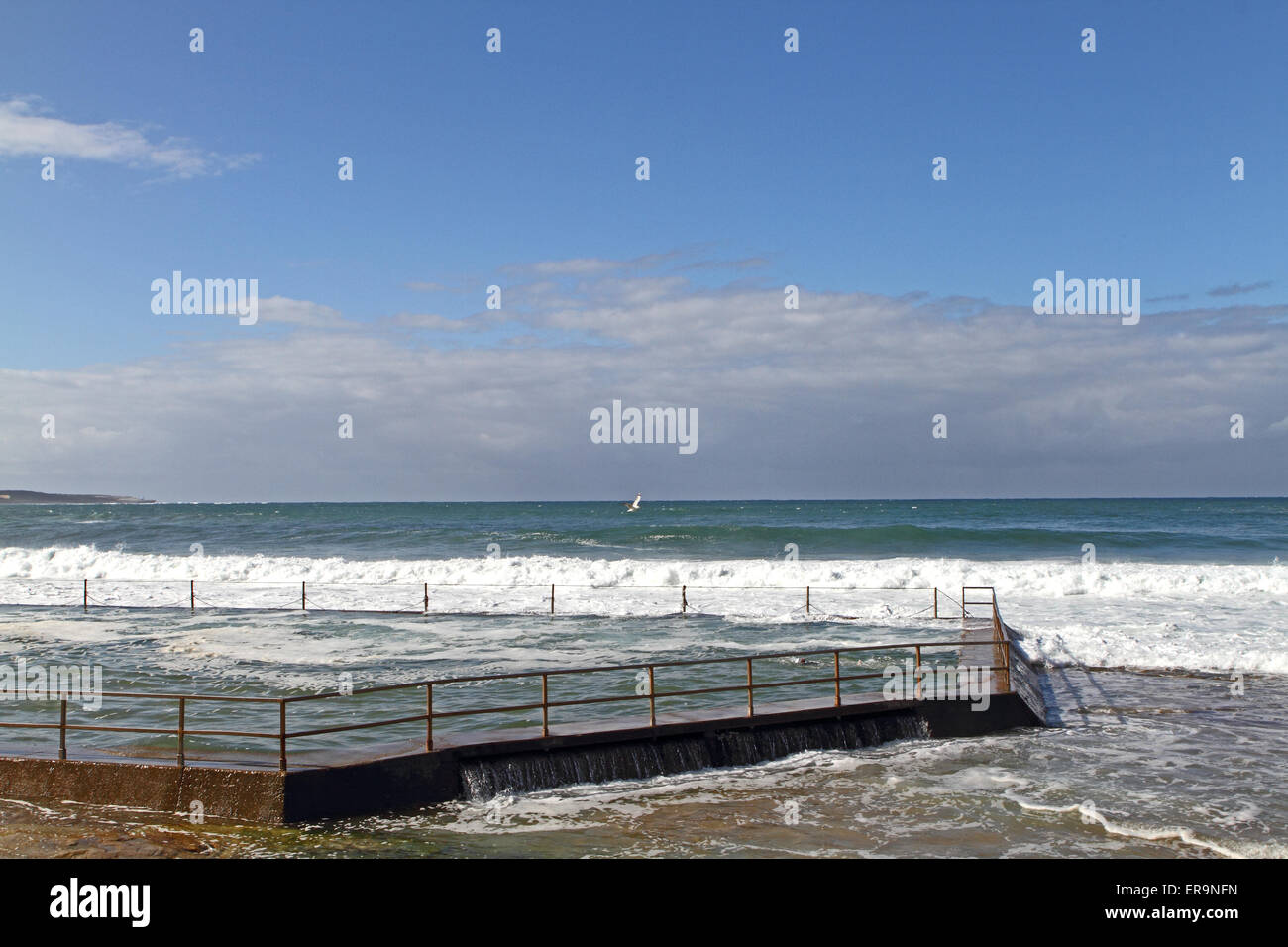 Cronulla swimming pool Stock Photo - Alamy