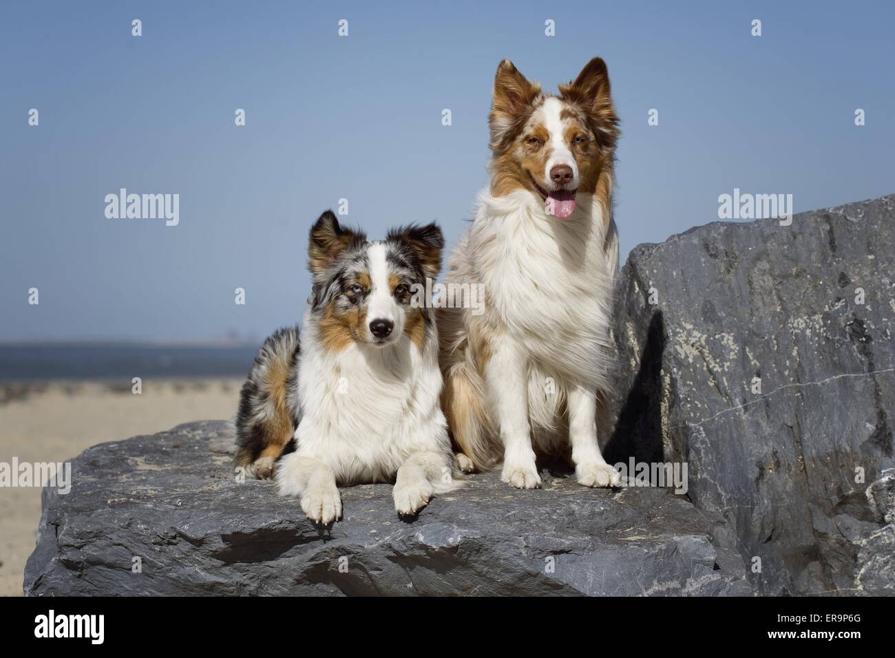 Two shepherds sit hi-res stock photography and images - Alamy