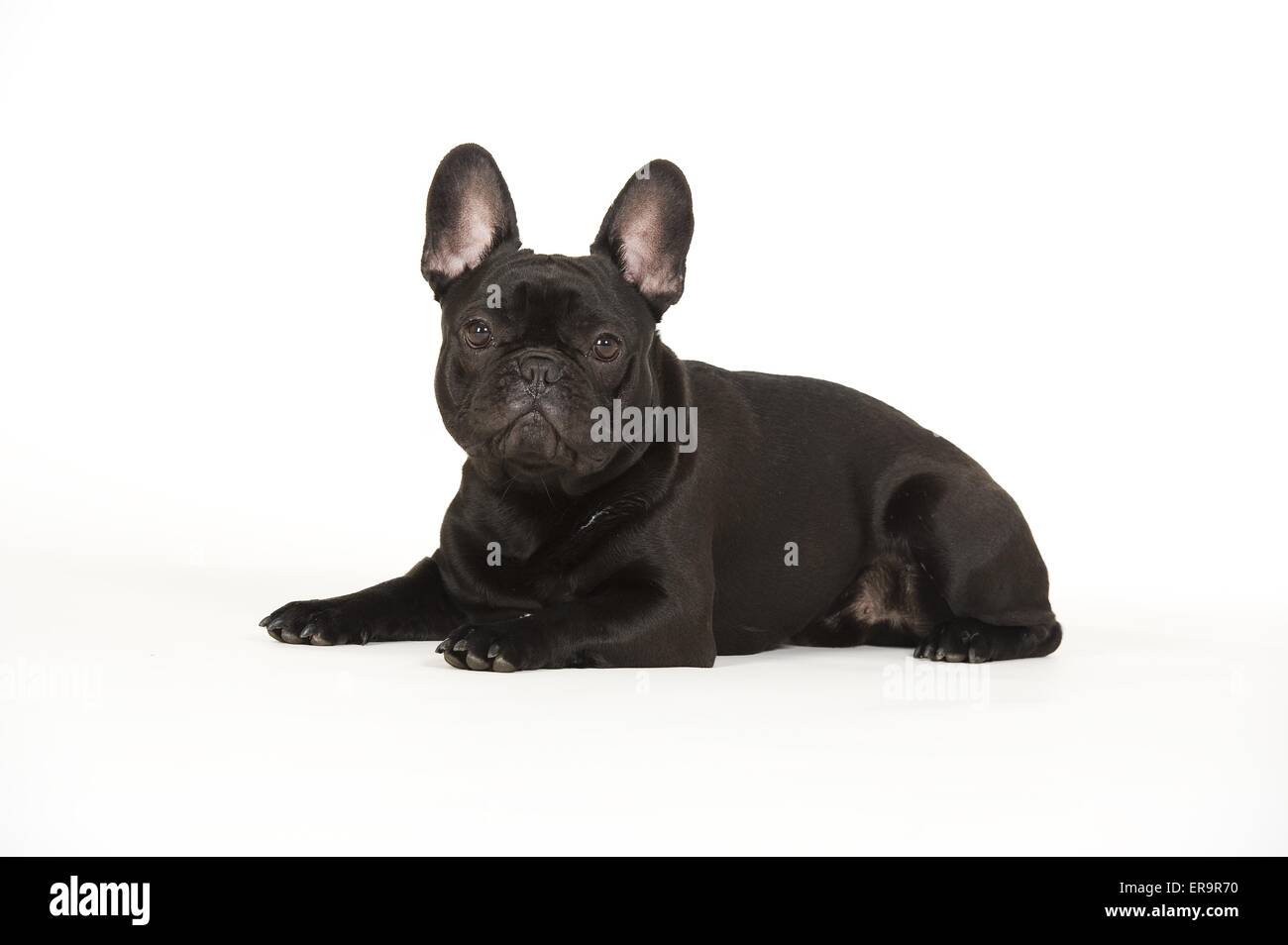 Black french landscape Cut Out Stock Images & Pictures - Alamy