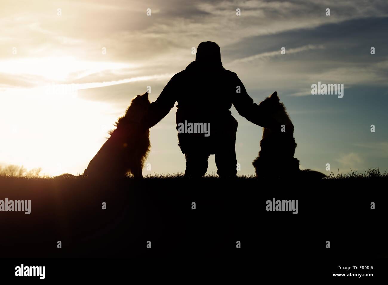 human and 2 dogs Stock Photo - Alamy