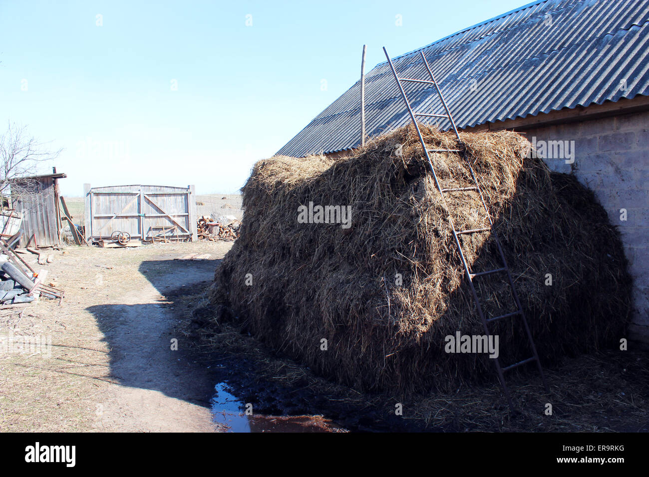 big heap of the dung besides the shed Stock Photo - Alamy