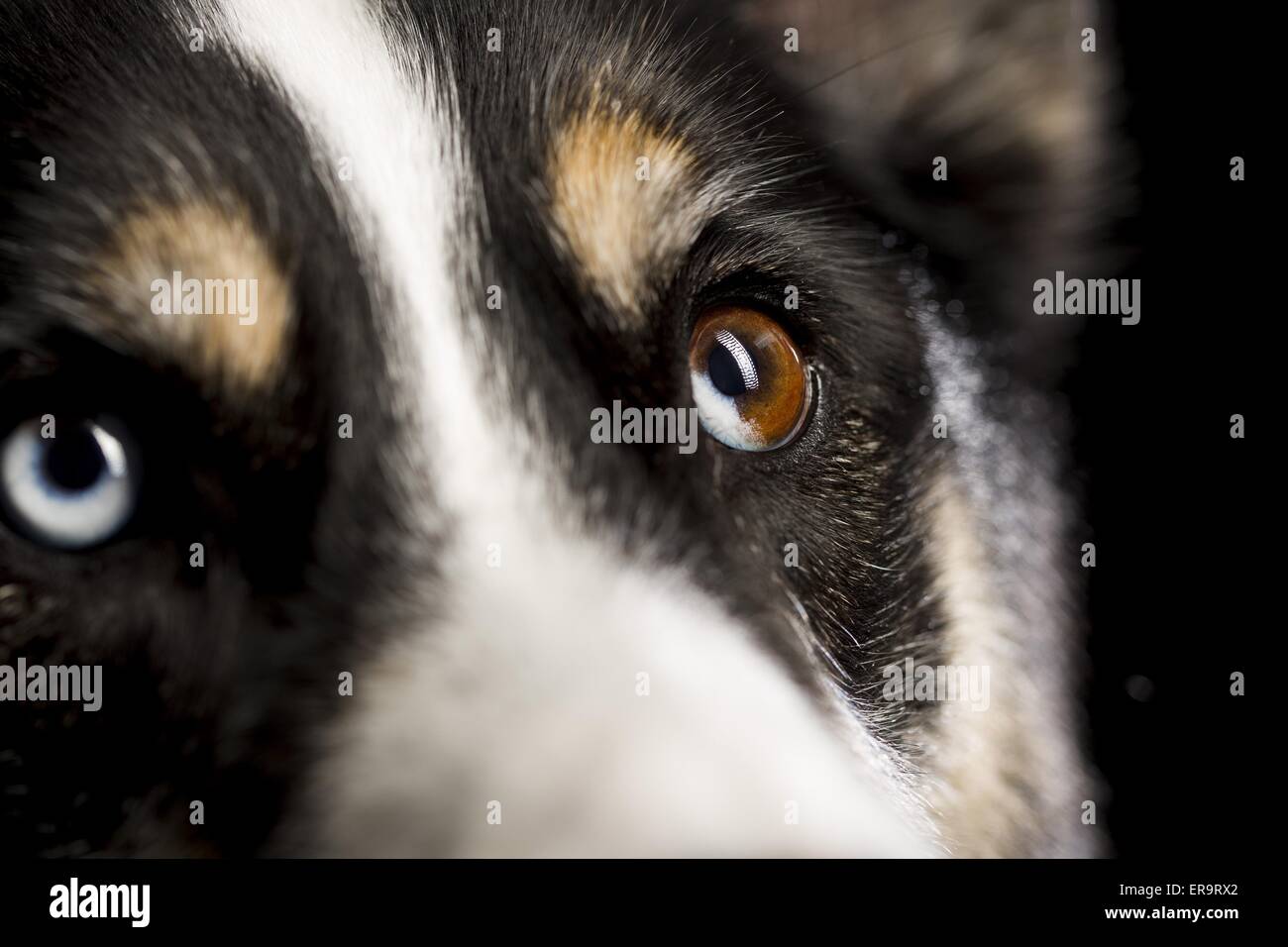Half eyed eyes hi-res stock photography and images - Alamy