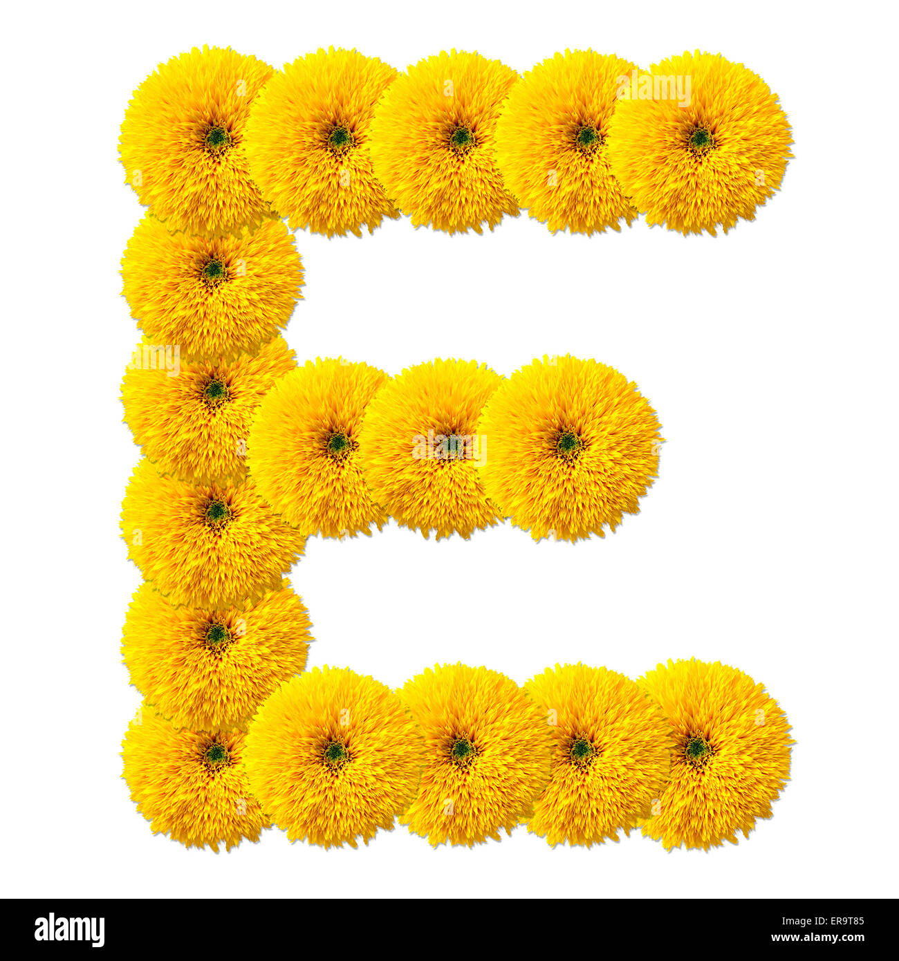 letter of the alphabet of flowers isolated on white background Stock ...