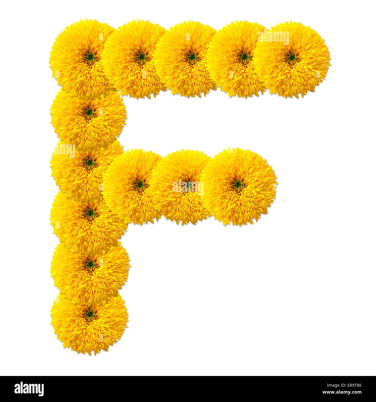 letter of the alphabet of flowers isolated on white background Stock ...