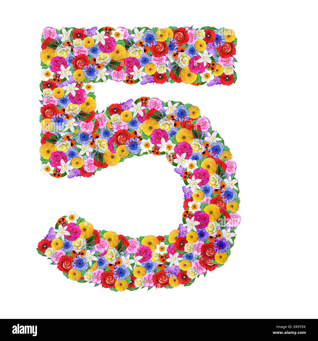 number 5 of a different flowers isolated on white background Stock ...