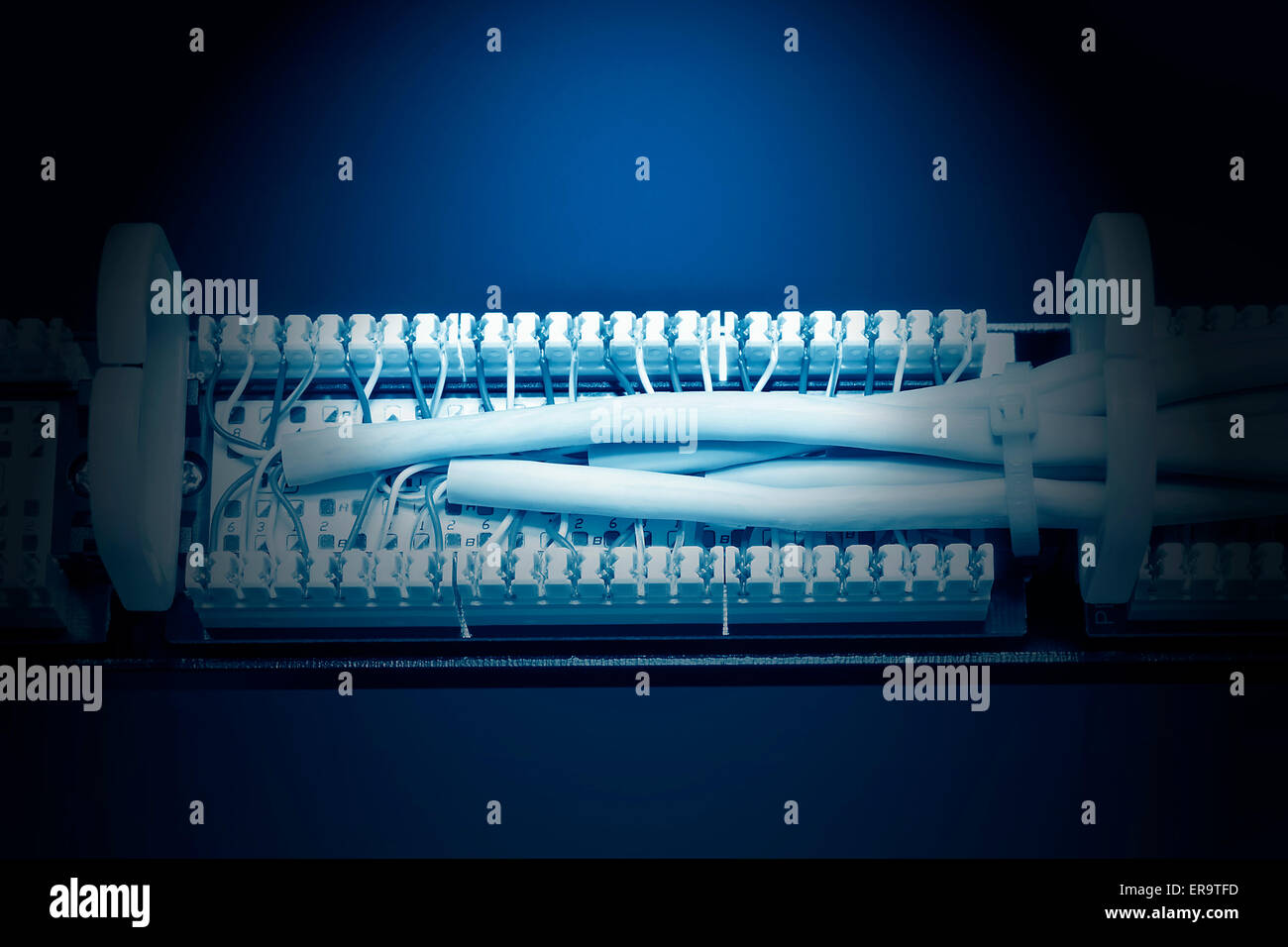 rear view of a patch panel with wires Stock Photo - Alamy