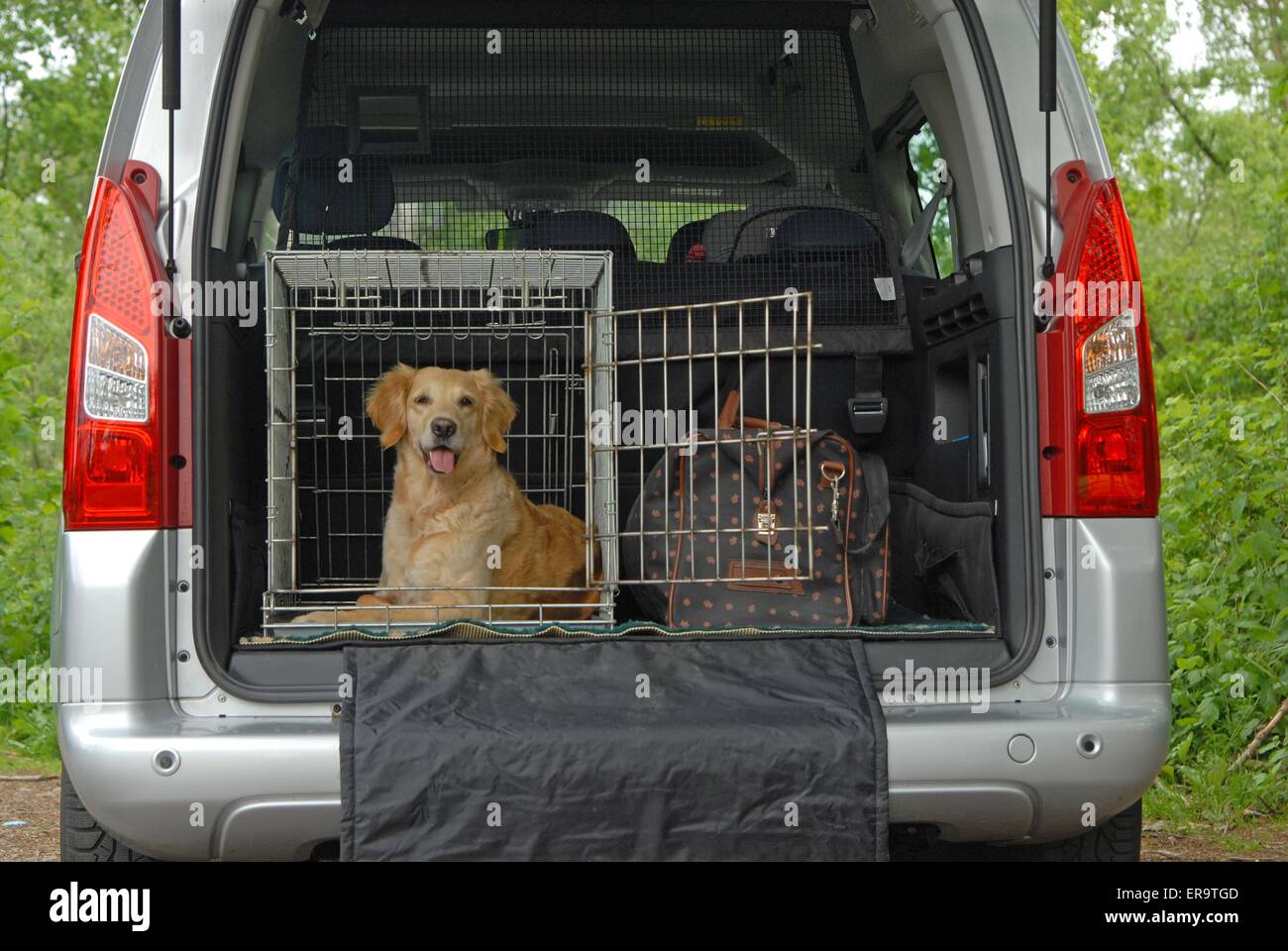 Golden boot hi-res stock photography and images - Alamy