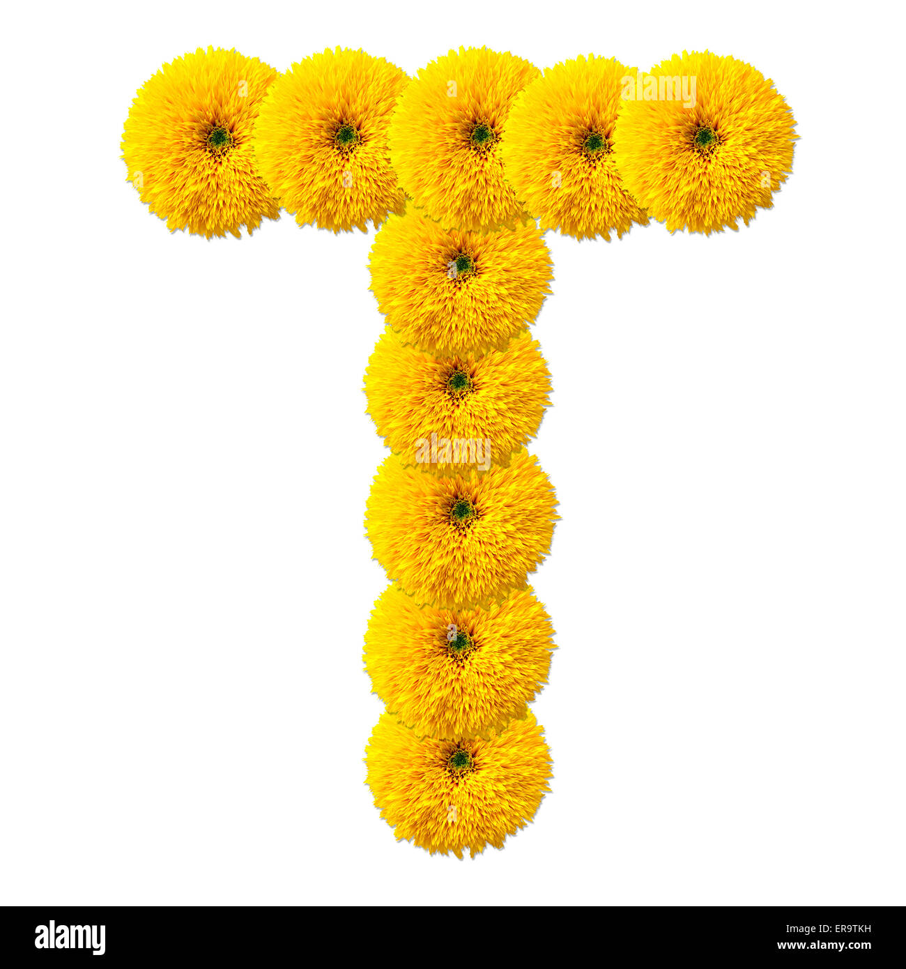 letter of the alphabet of flowers isolated on white background Stock ...