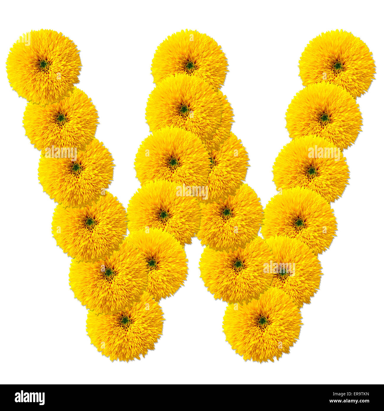 letter of the alphabet of flowers isolated on white background Stock ...