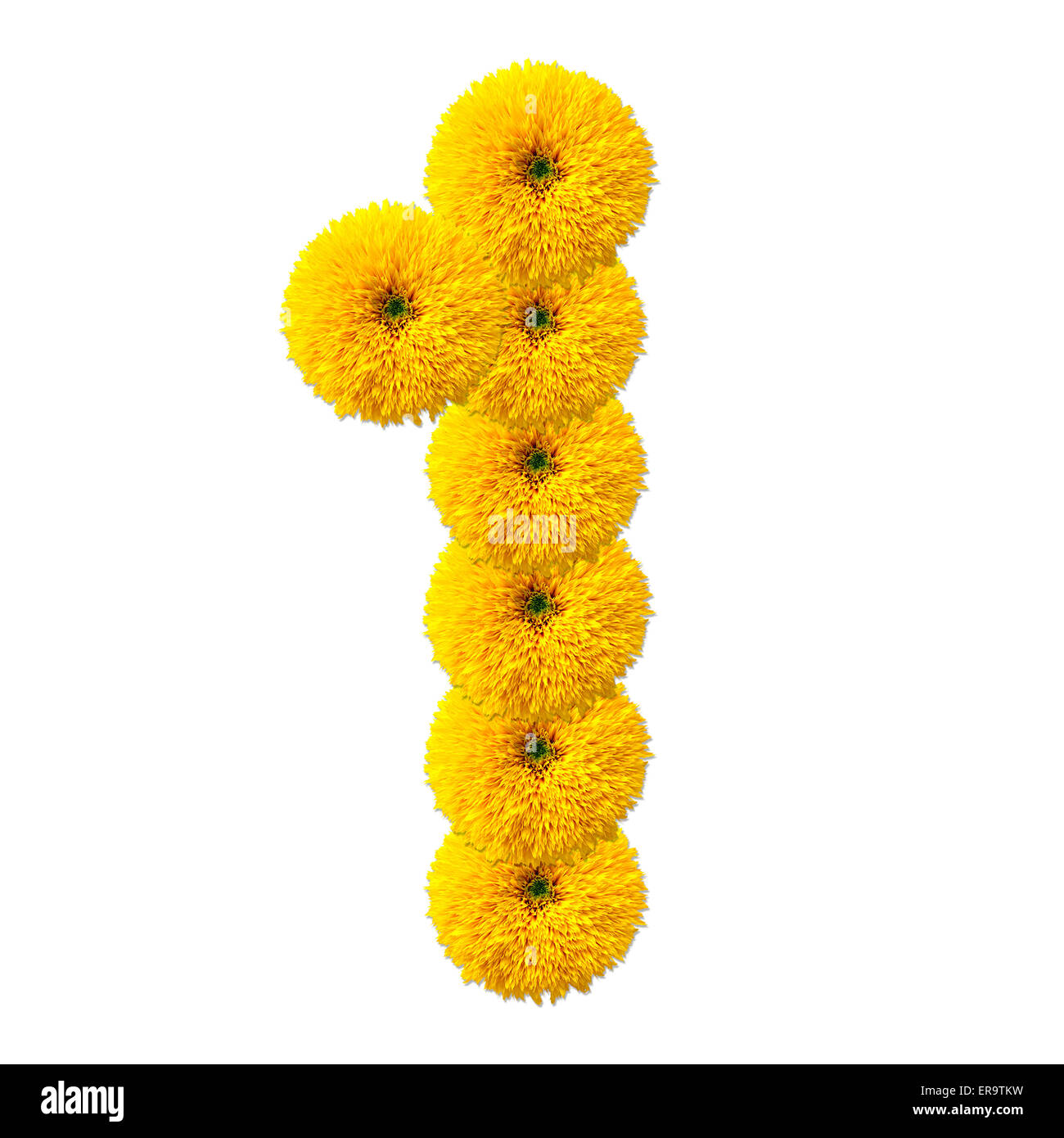 decimal cipher of flowers isolated on white background Stock Photo - Alamy