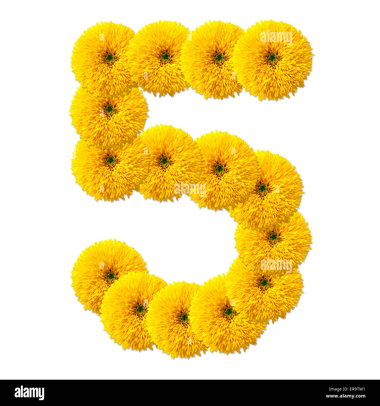 decimal cipher of flowers isolated on white background Stock Photo - Alamy