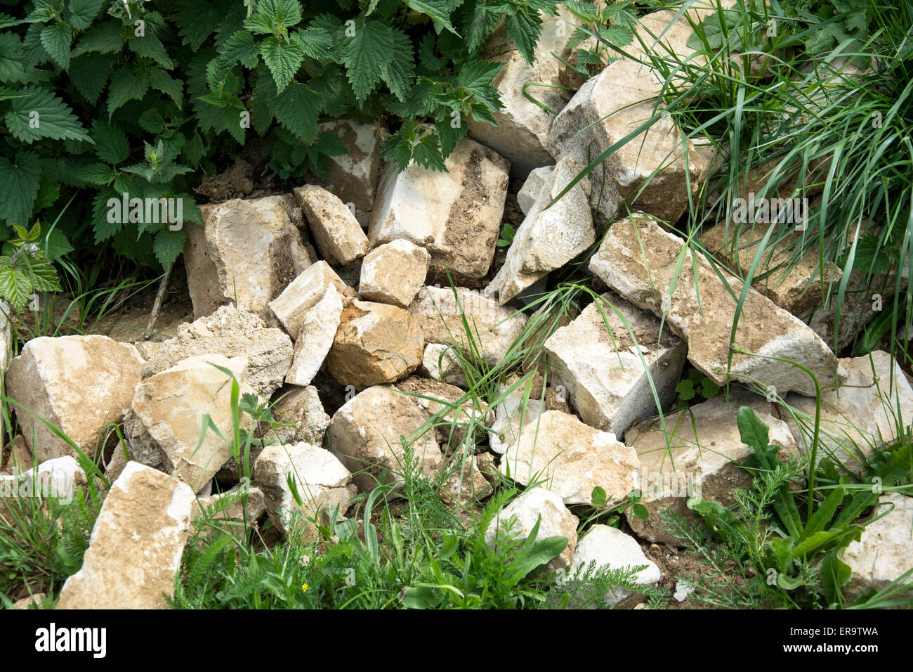 Pile of rocks in grass Stock Photo - Alamy