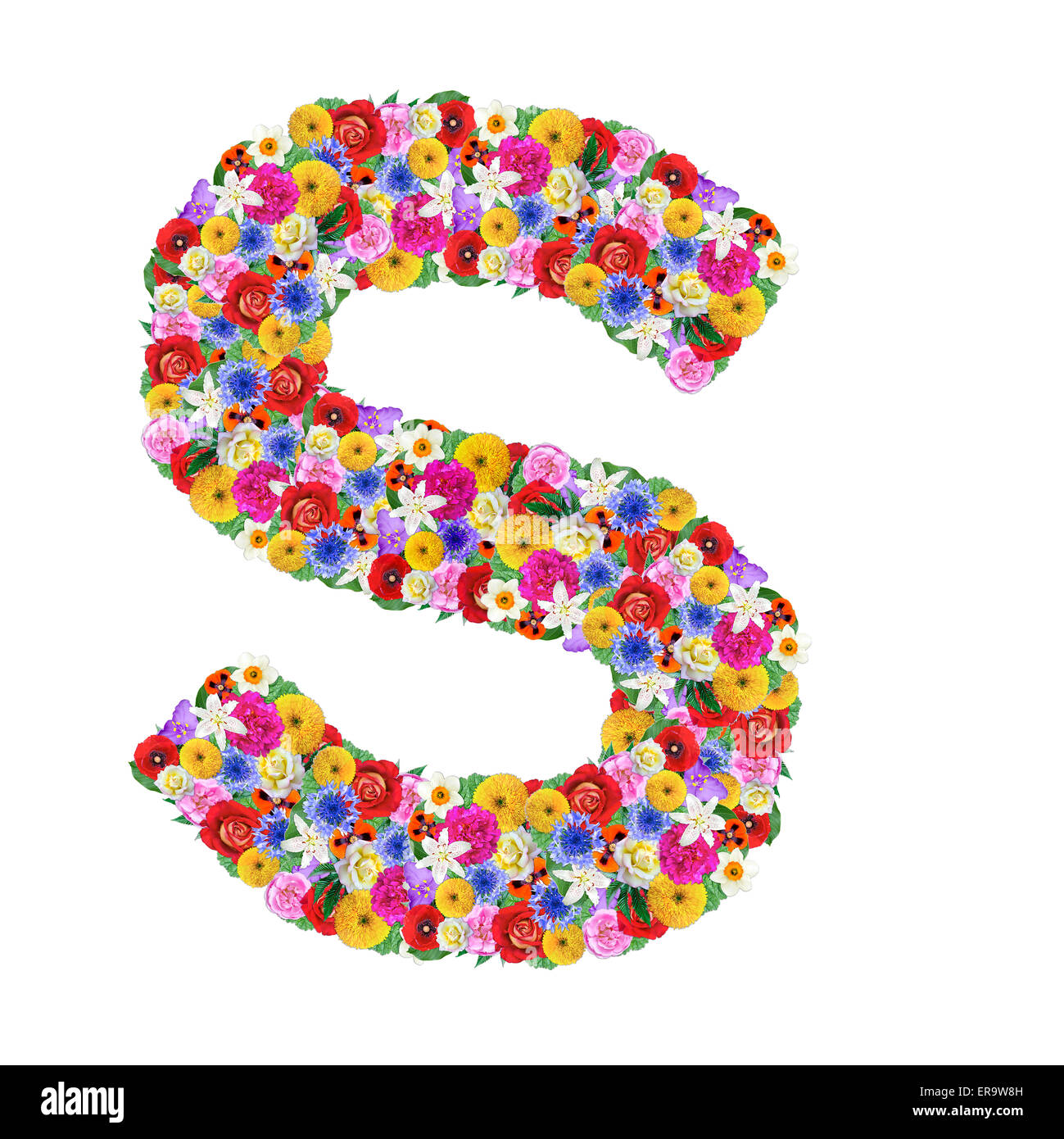 S, letter of the alphabet in different flowers isolated on white ...
