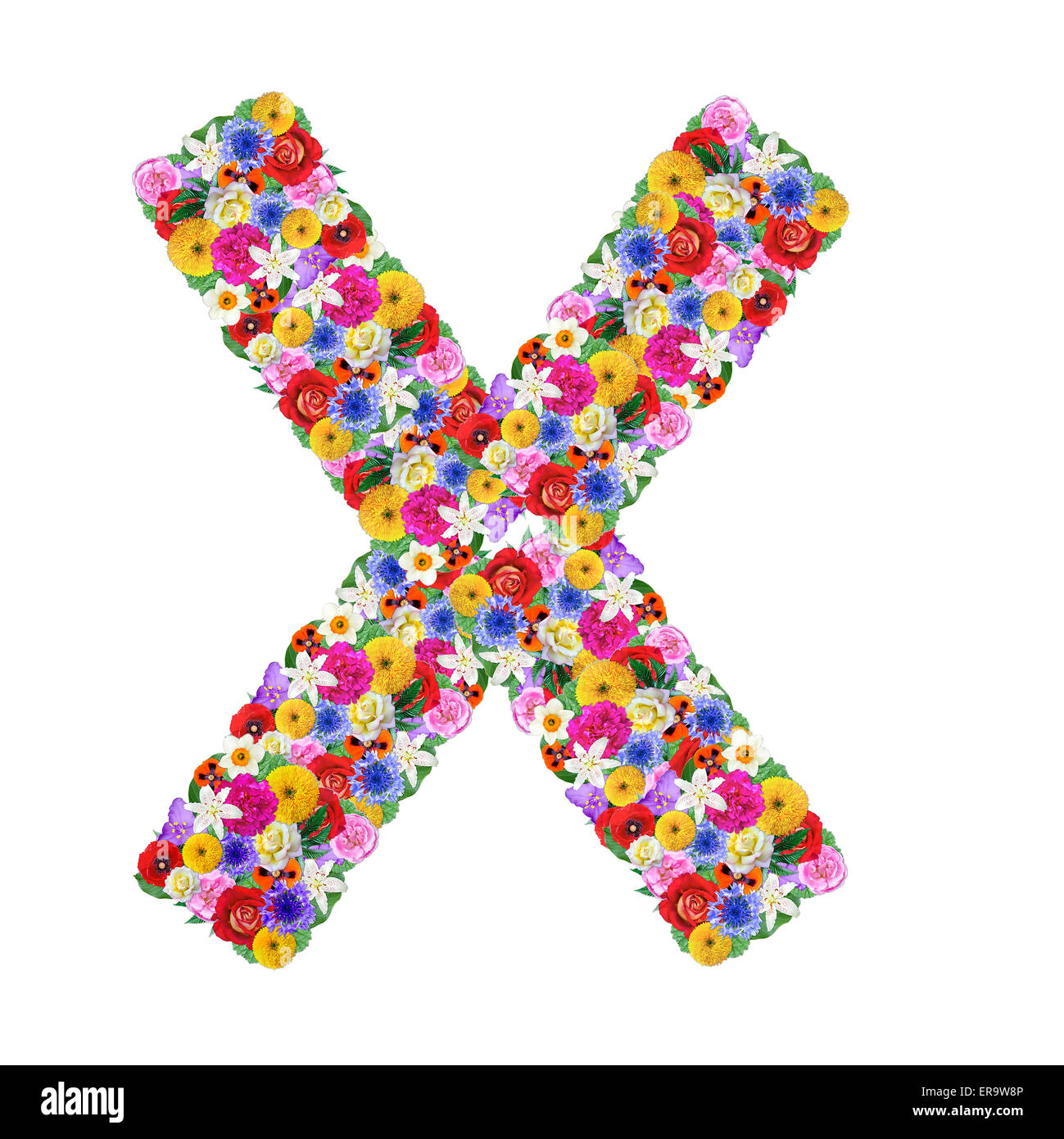 X, letter of the alphabet in different flowers isolated on white ...