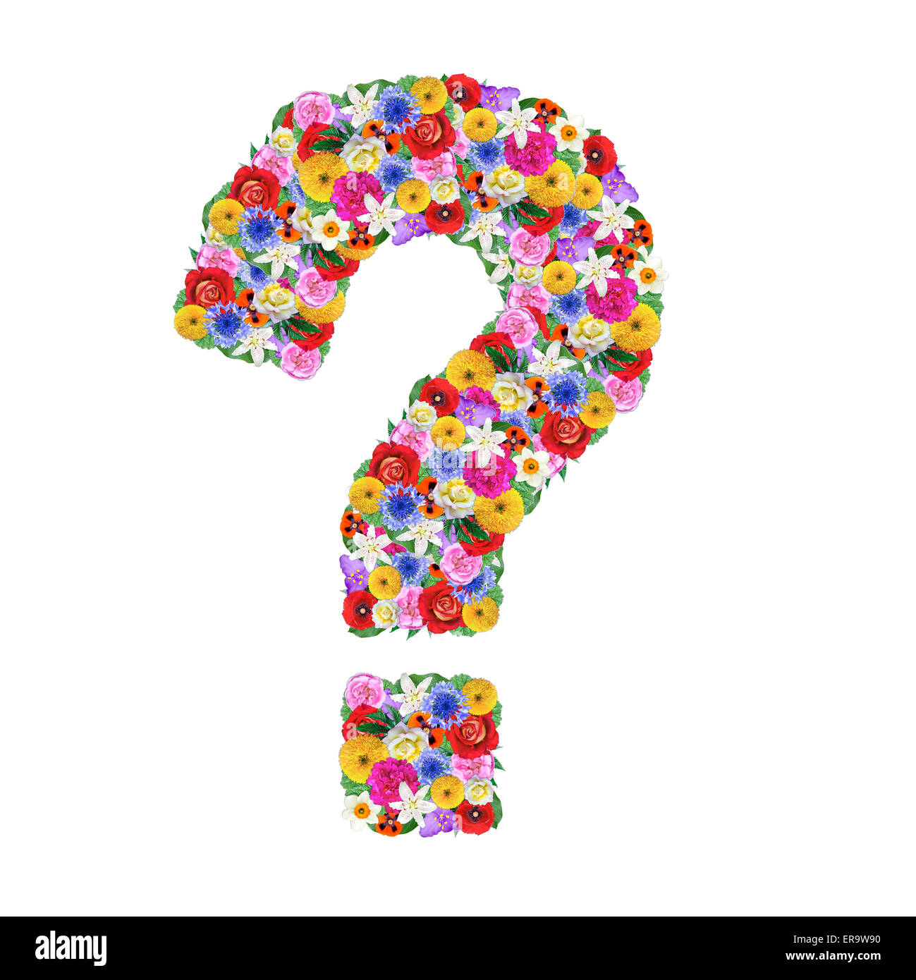 question mark, letter of the alphabet in different flowers isolated on ...