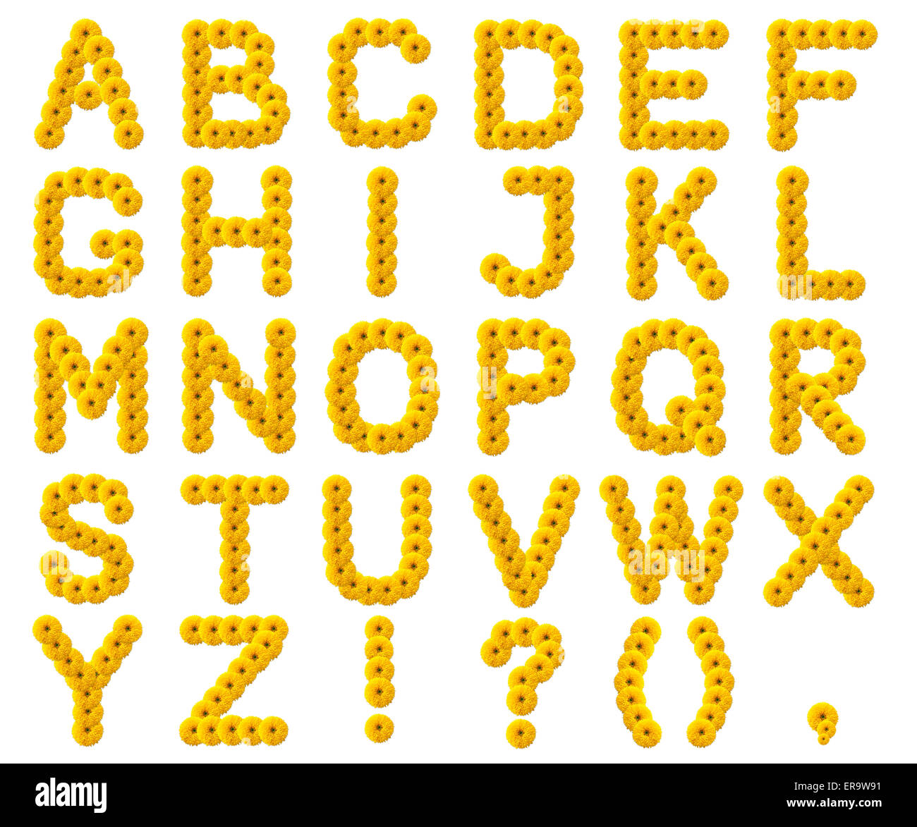 letters of the alphabet from yellow flowers isolated on white ...