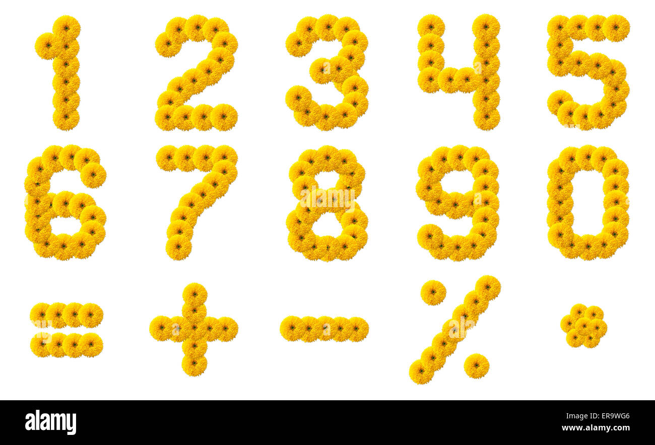 Numerals Alphabet of yellow flowers isolated on white background Stock ...