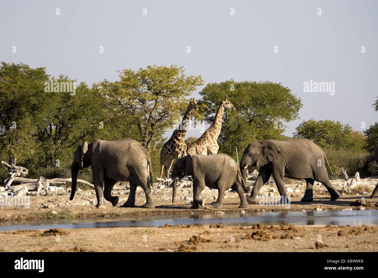 Going for walks hi-res stock photography and images - Alamy