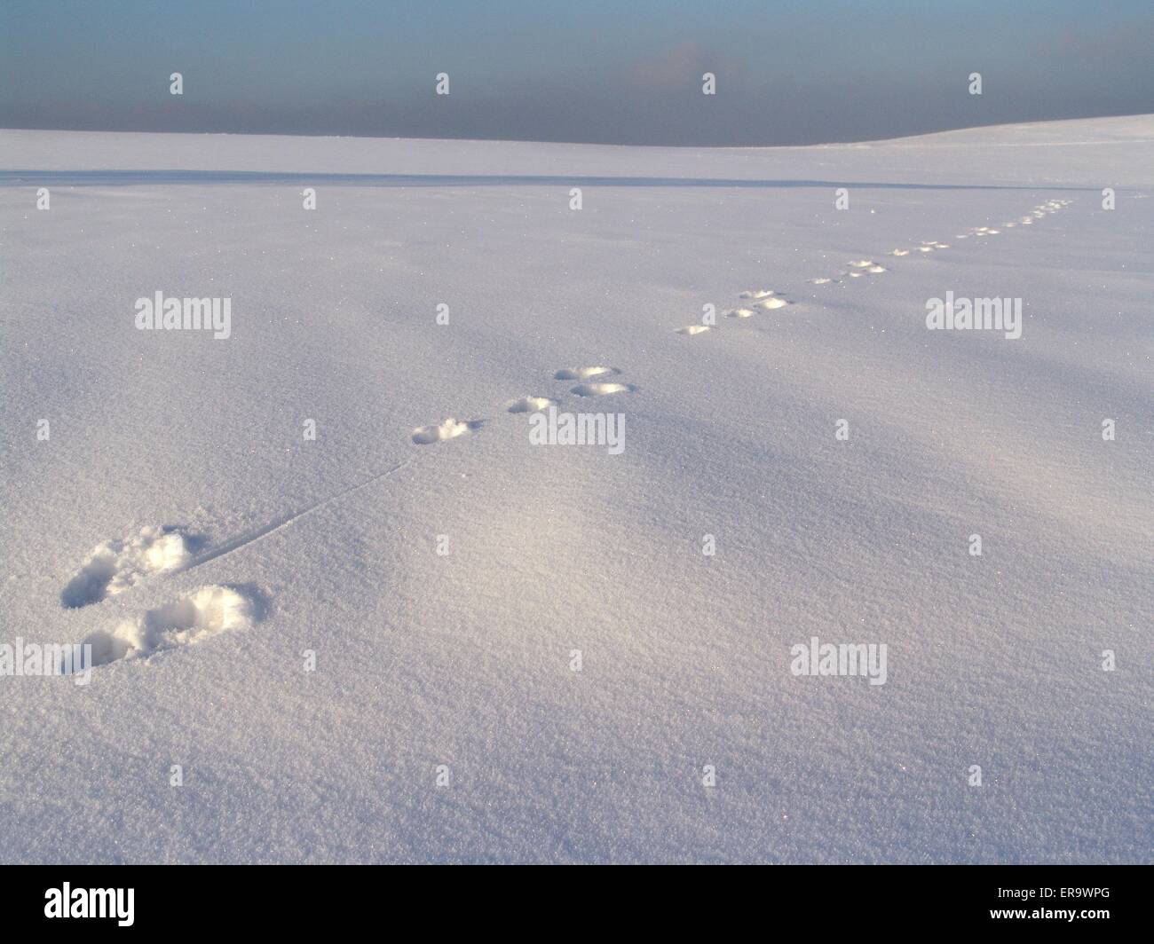 Ruts hi-res stock photography and images - Alamy