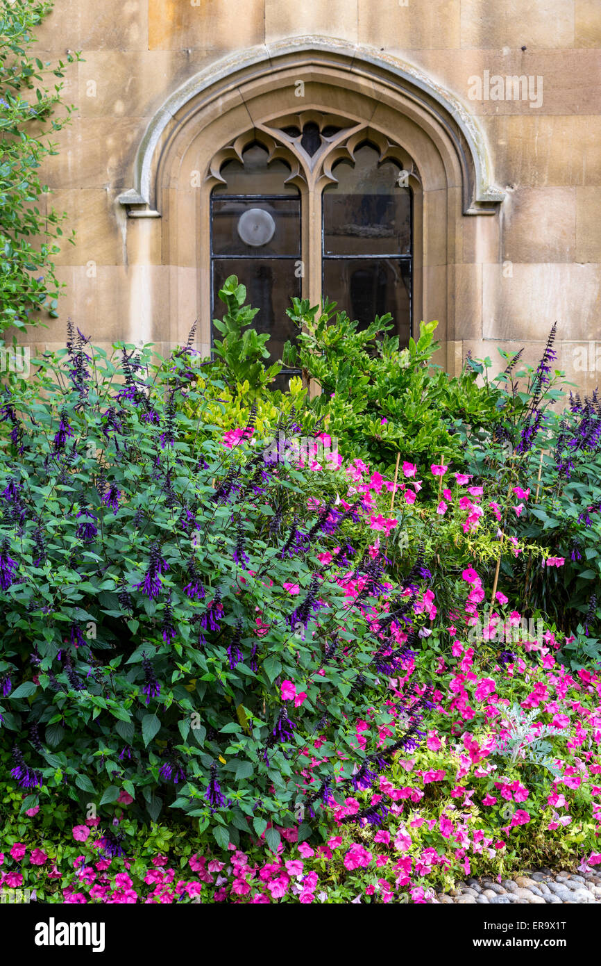 Cambridge corner hi-res stock photography and images - Alamy