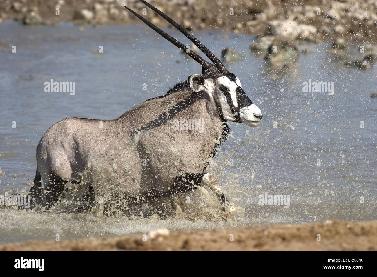 Ondunos hi-res stock photography and images - Alamy