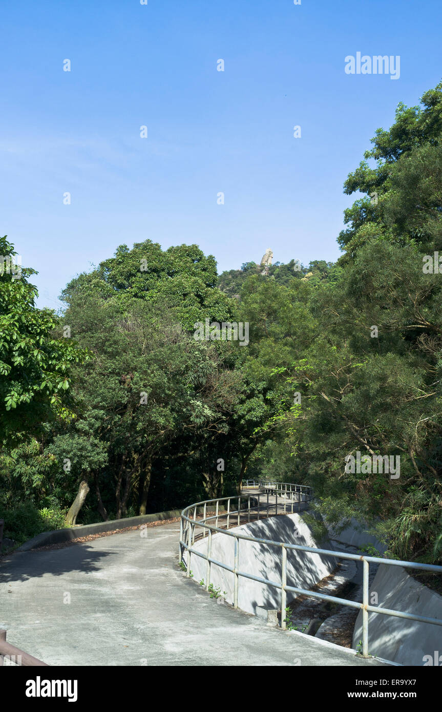 dh Lion Rock Country park NEW TERRITORIES HONG KONG Catchwater Wilson ...