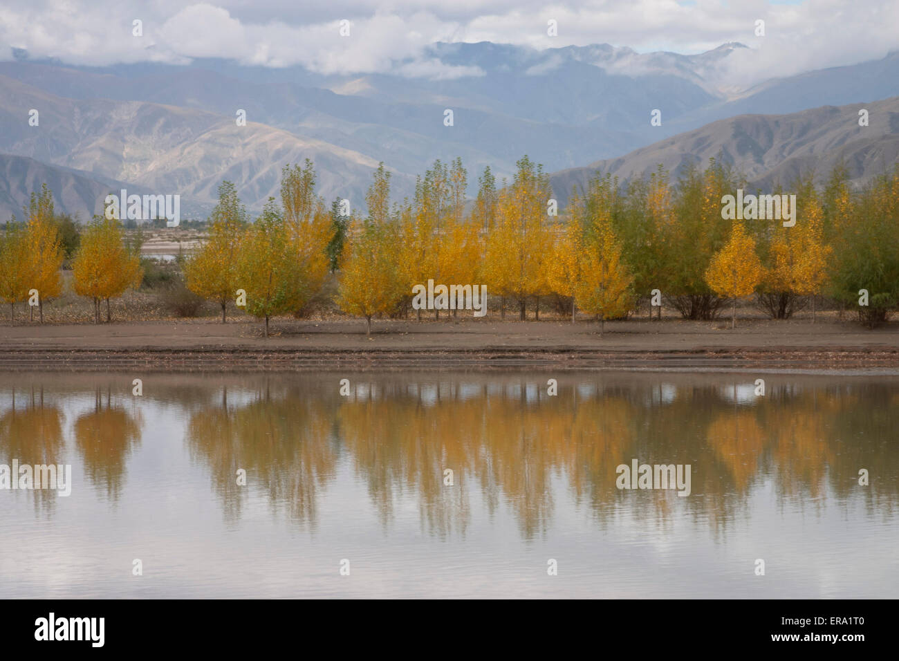 The Lhasa river flowing thorough Tibet Stock Photo - Alamy