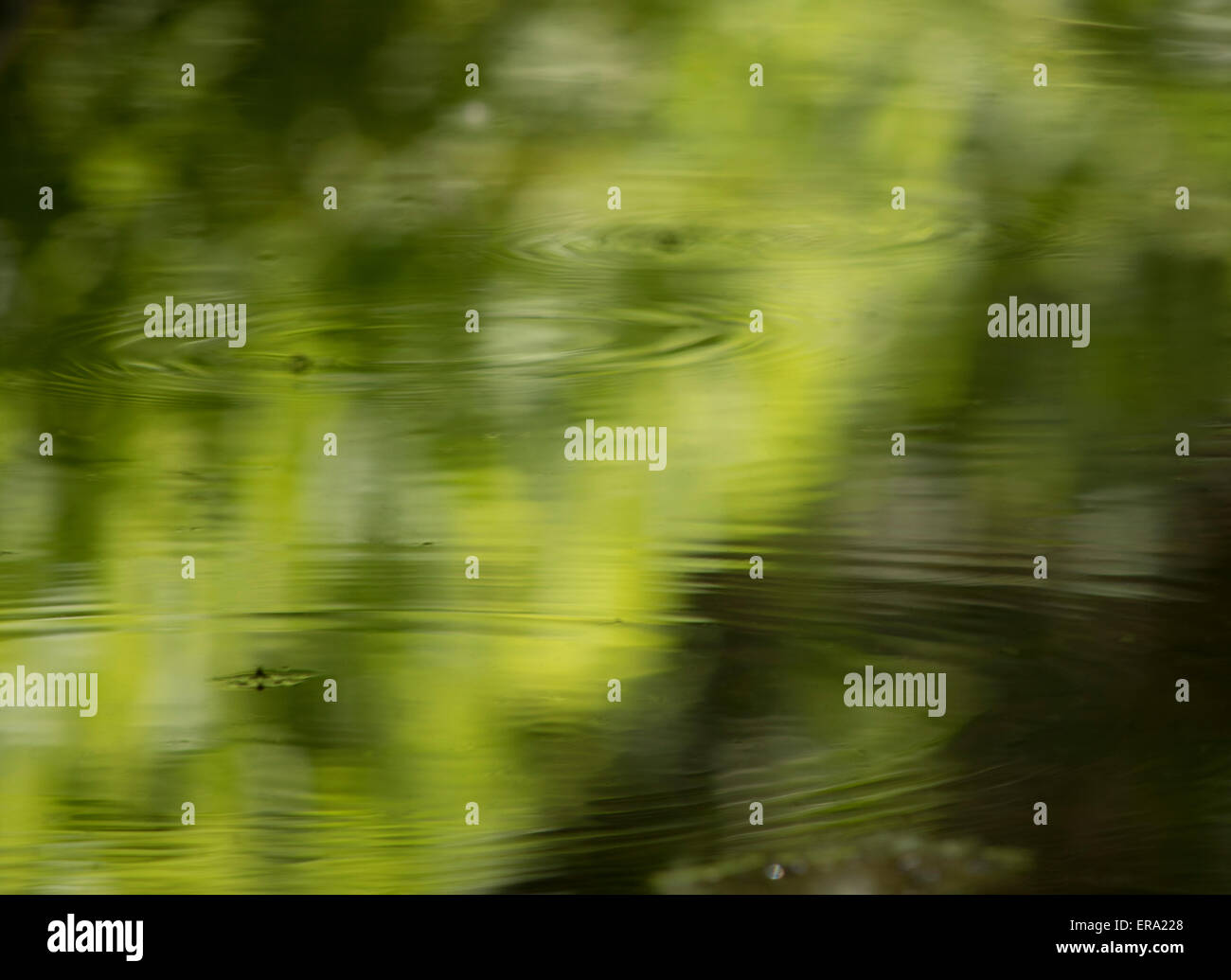 Ripple in stream Stock Photo - Alamy