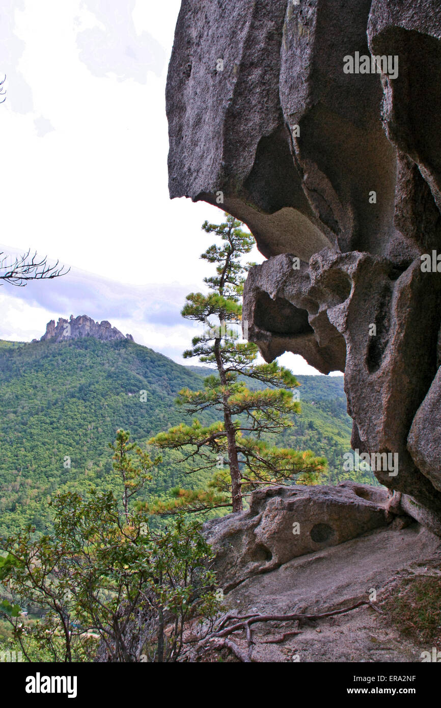 Dragons back ridge hi-res stock photography and images - Alamy