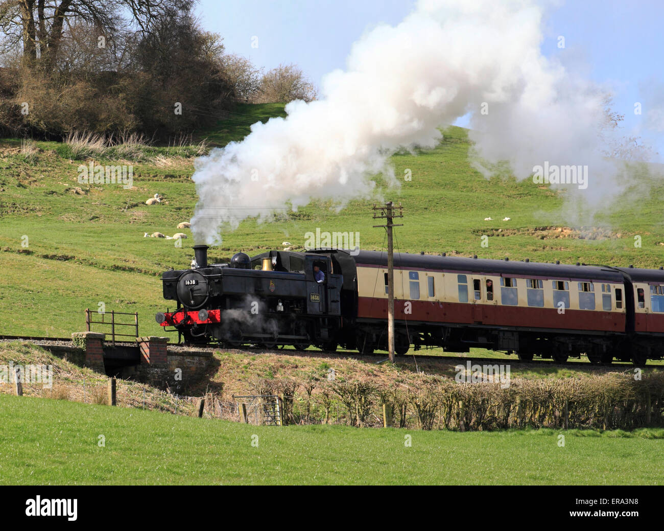 Visiting Pannier Tank engine 1638 steams through the Shropshire ...