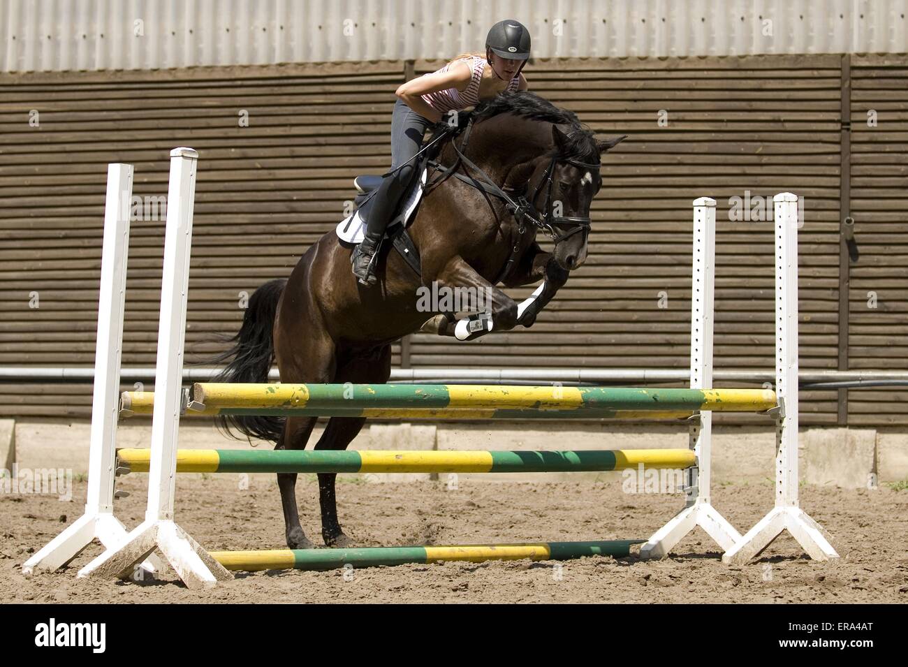 Oxer Stock Photos & Oxer Stock Images - Alamy