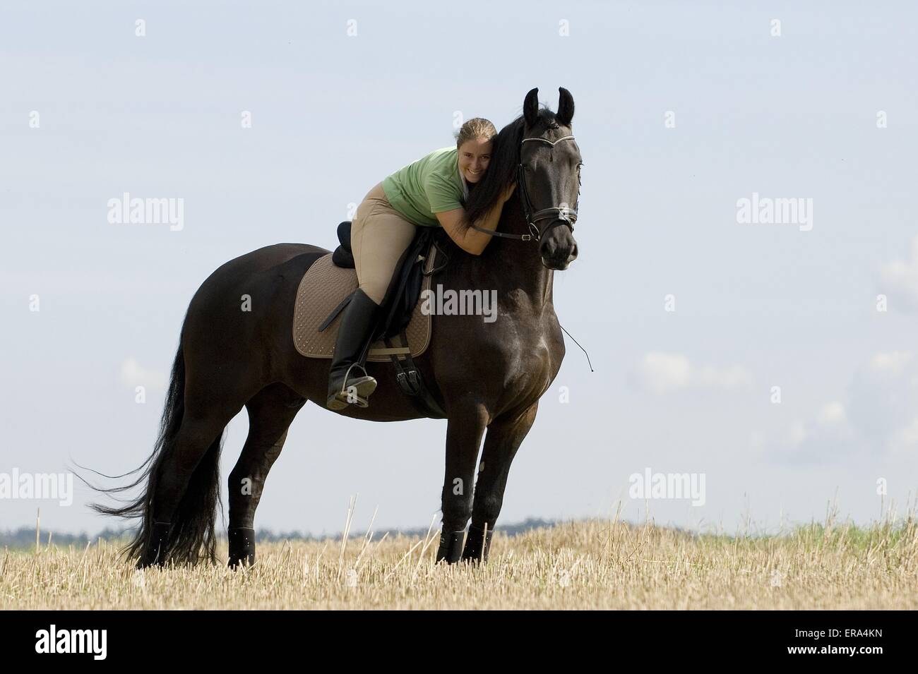 Friesian Horse Riding High Resolution Stock Photography and Images - Alamy
