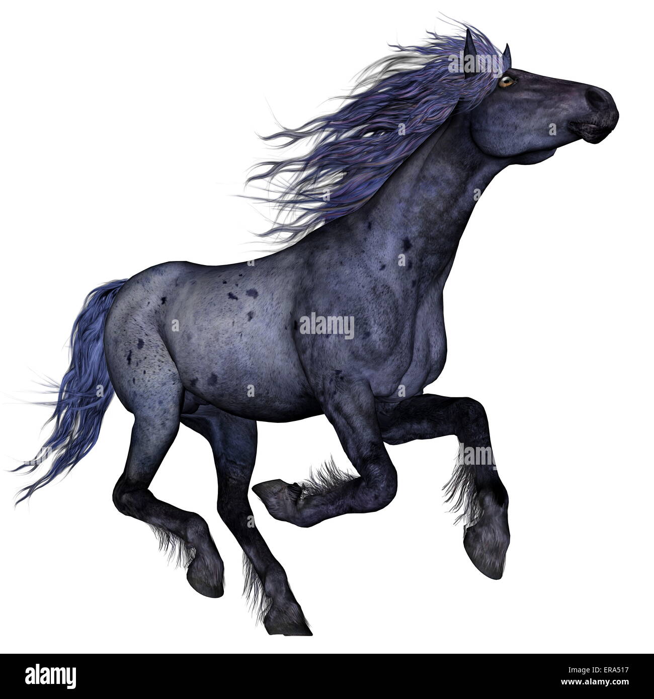 Black blue horse running isolated in white background - 3D render Stock ...