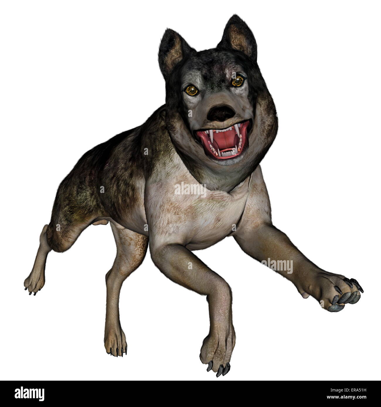 3d illustration wild wolf running hi-res stock photography and images ...