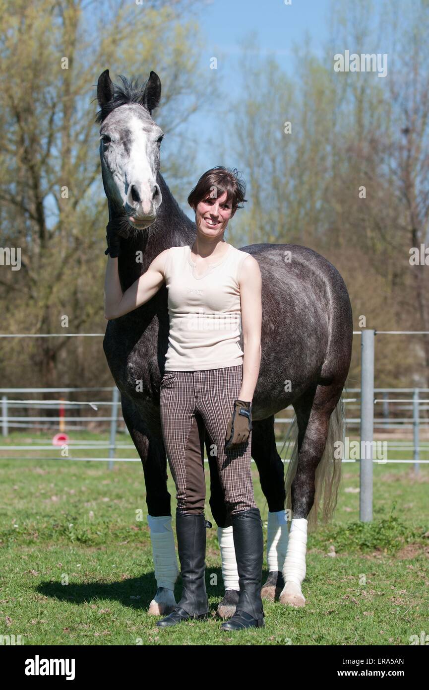 woman and KWPN Stock Photo - Alamy
