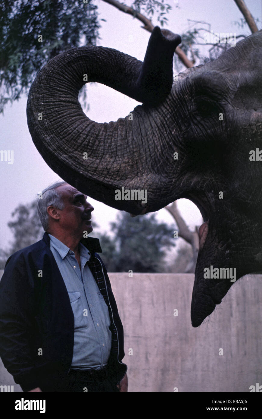 Johnny Walsh High Resolution Stock Photography and Images - Alamy