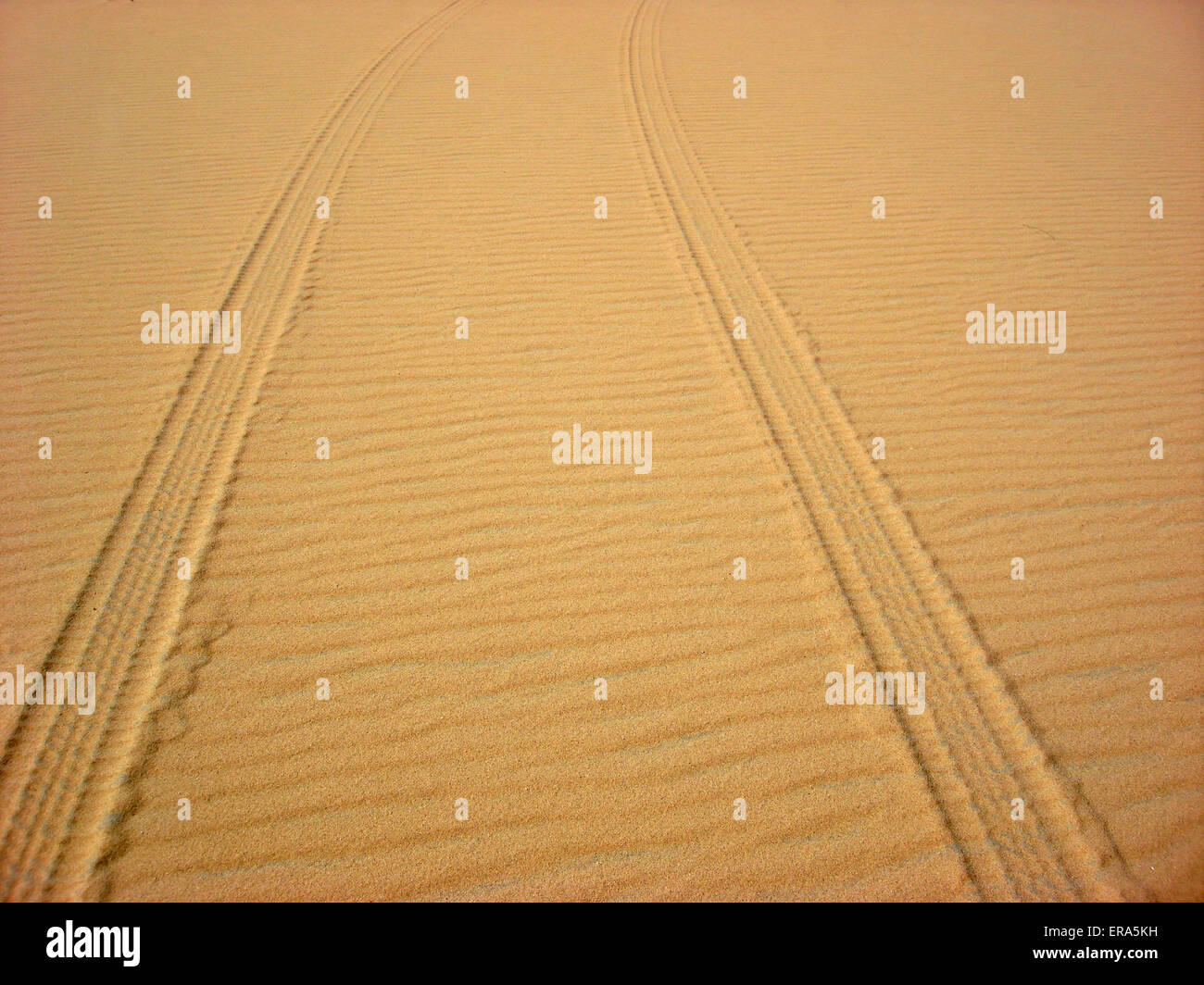 Tyre Tracks crossing a sand dune Stock Photo - Alamy