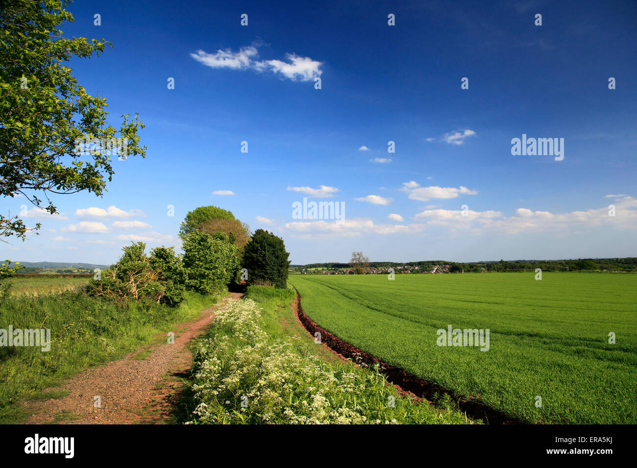 Farmland overlooking Cookley village, Worcestershire, England, Europe ...