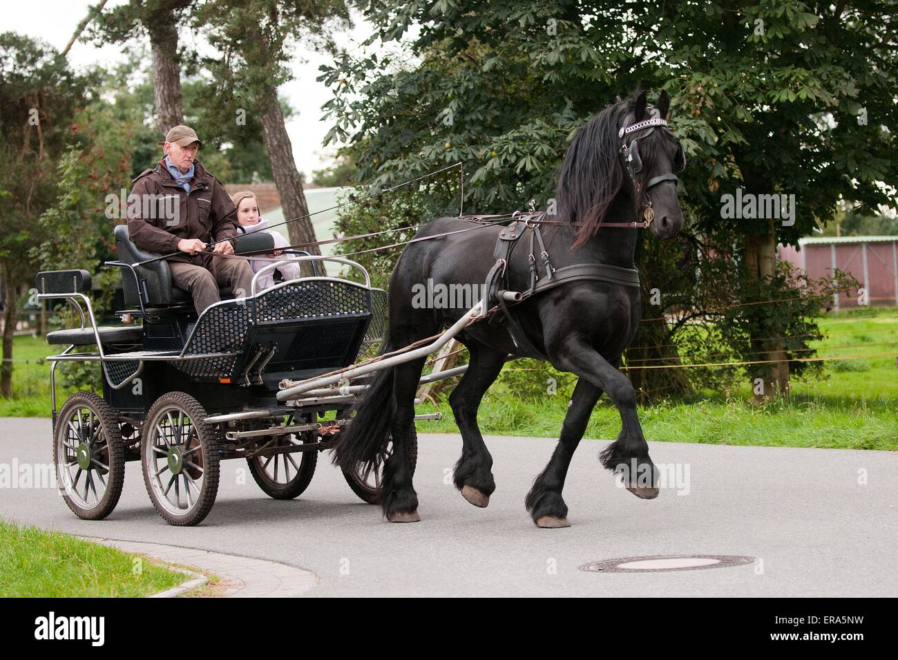 Frisian horse carriage hi-res stock photography and images - Alamy
