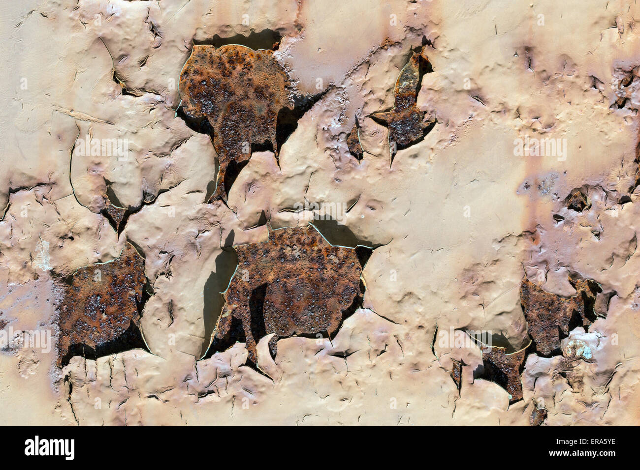 surface of the rusty iron with flaking paint Stock Photo - Alamy
