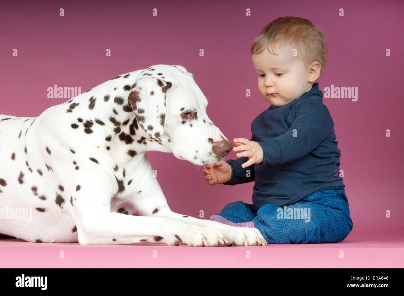 Dalmatian dog and kid hi-res stock photography and images - Alamy