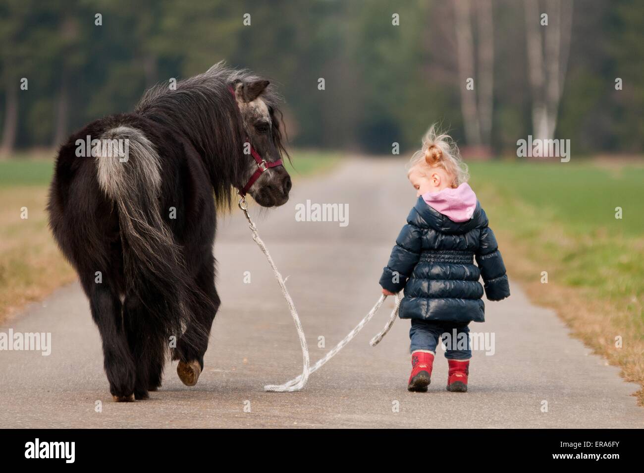 child and Shetland Pony Stock Photo - Alamy