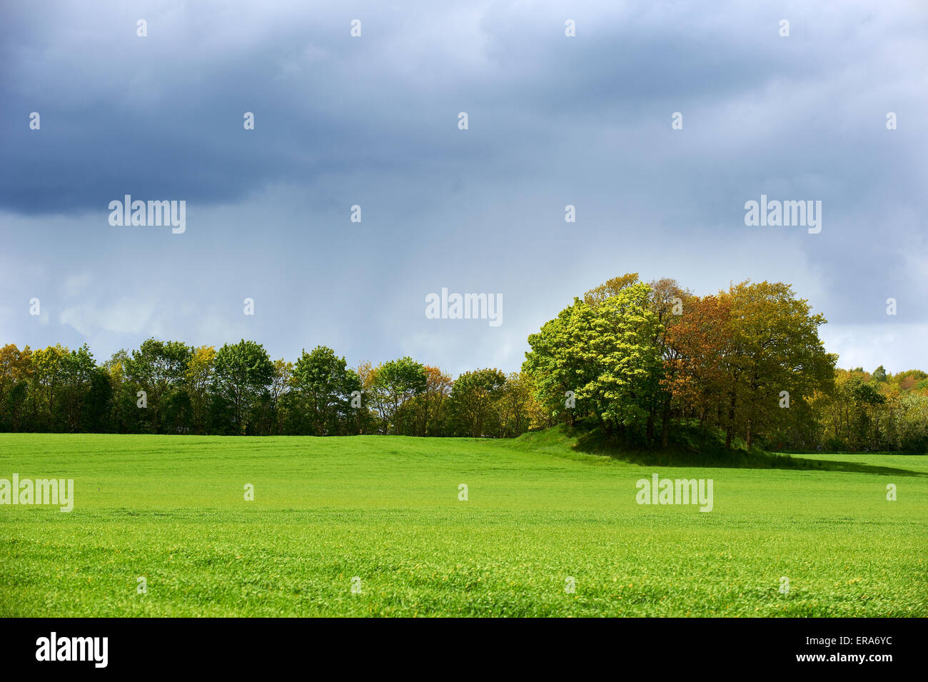 Green field and trees hi-res stock photography and images - Alamy