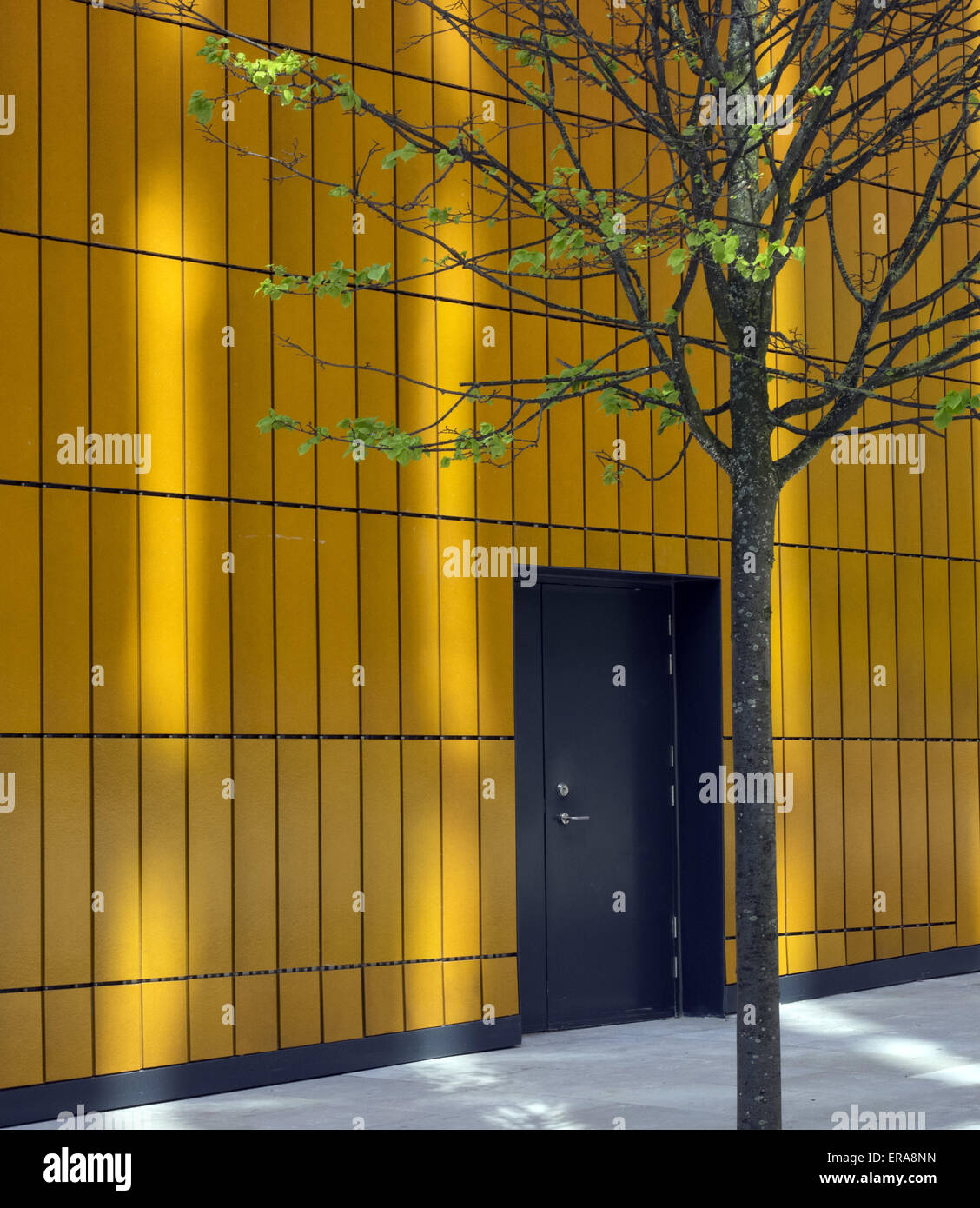 Shafts of light on the wall of a colourful new building on First Street ...