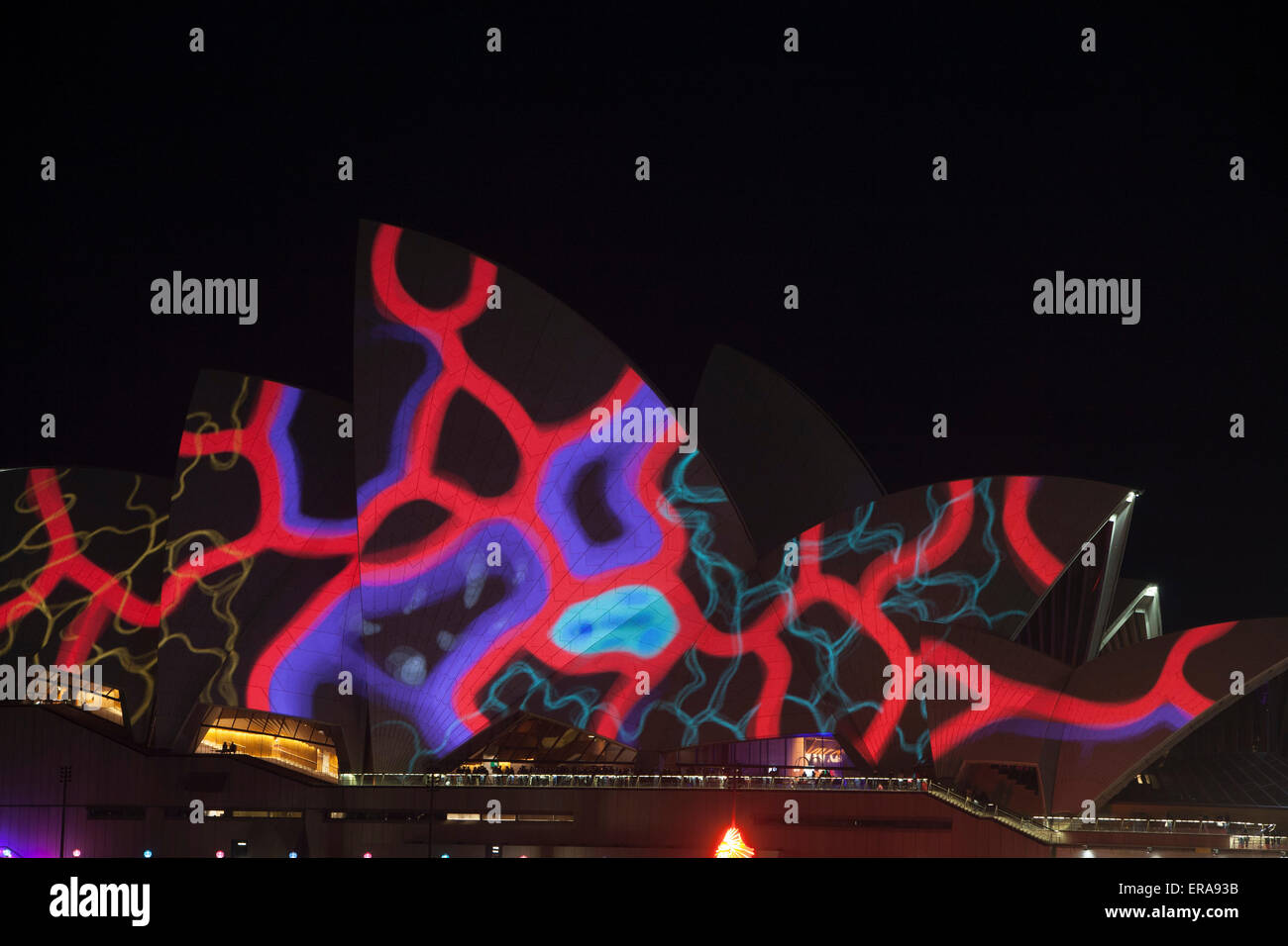 Sydney Opera House illuminated during Vivid Sydney lighting festival ...