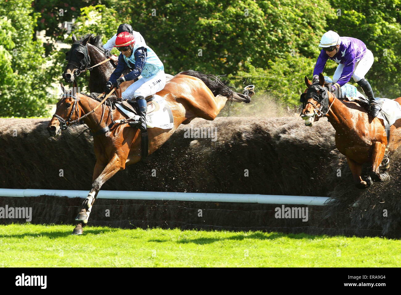 Angelo GASNIER/Jacques RICOU - 17.05.2015 - Grand Steeple Chase de ...
